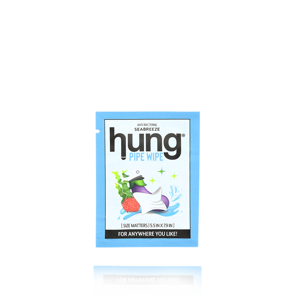Hung Pipe Wipe - 16 Count – Amazing Intimate Essentials